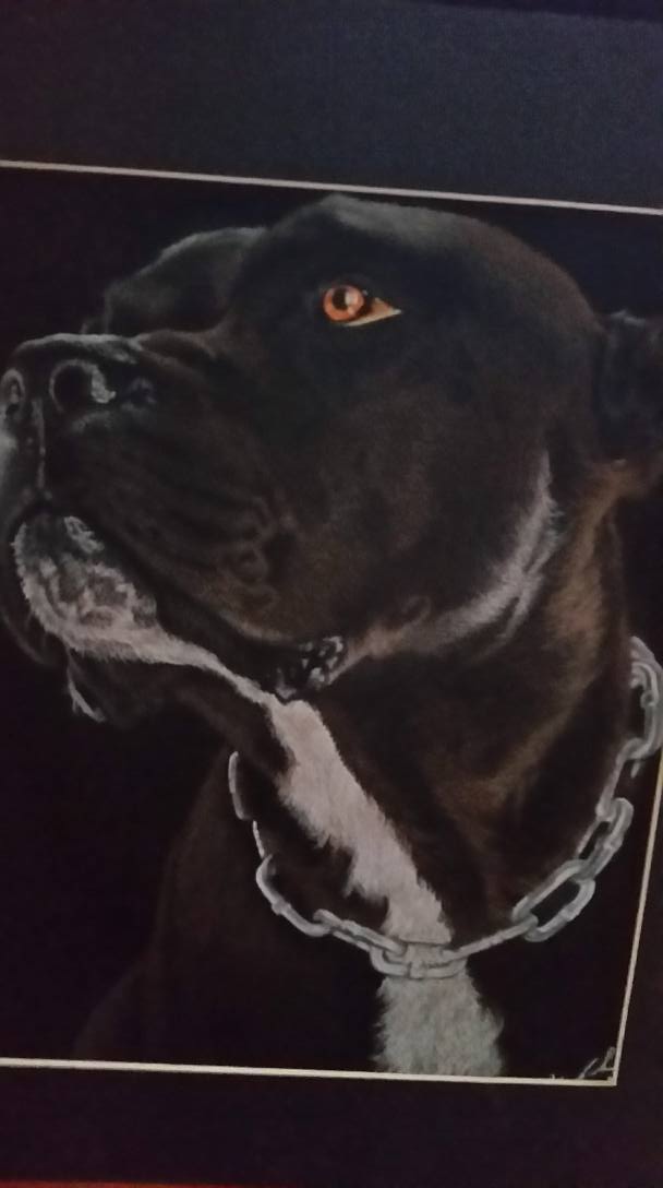 About me - C. Fausto Cabrera