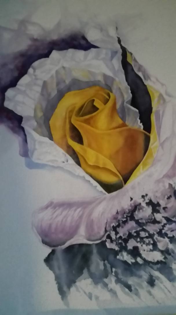 About me - C. Fausto Cabrera