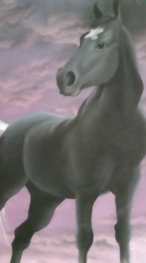 About me - C. Fausto Cabrera